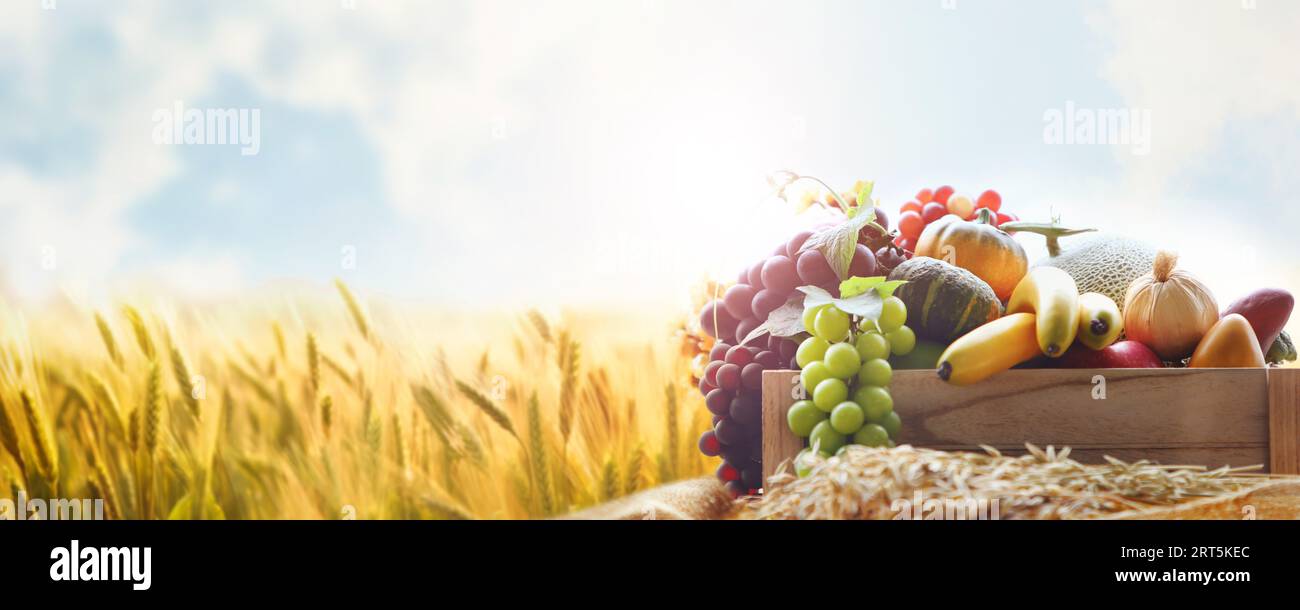 Church Thanksgiving decoration with various crops, vegetables and ...