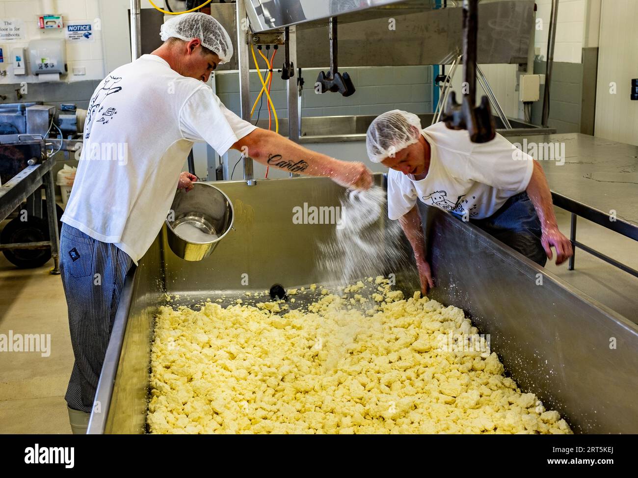 Cheesemakers at work, at award-winning factory in Pyengana, Tasmania ...