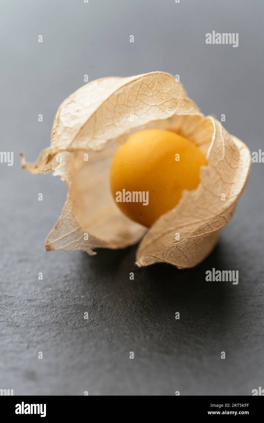 Physalis open hi-res stock photography and images - Alamy