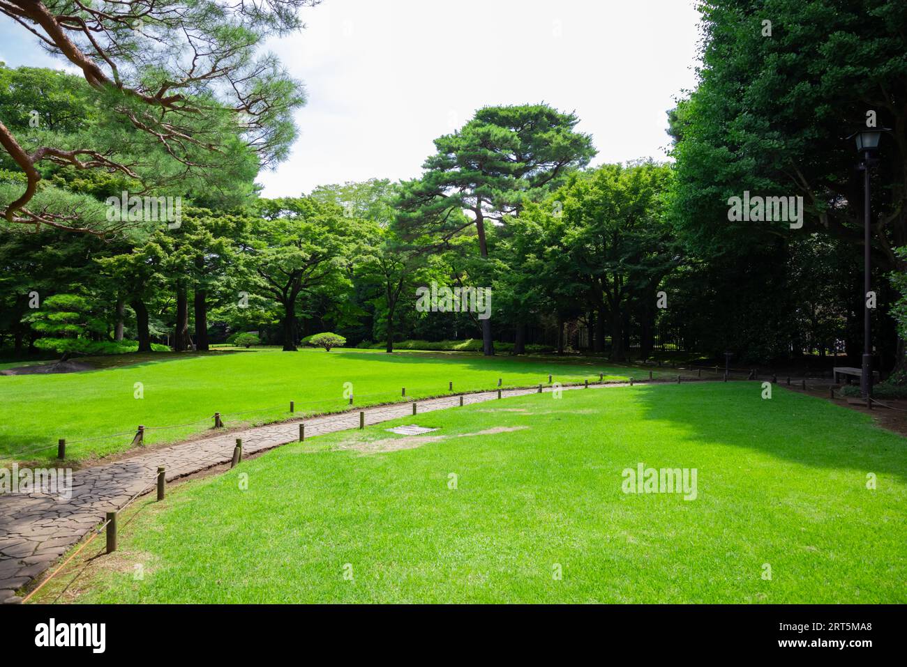 A Japanese garden at the public green park wide shot Stock Photo - Alamy