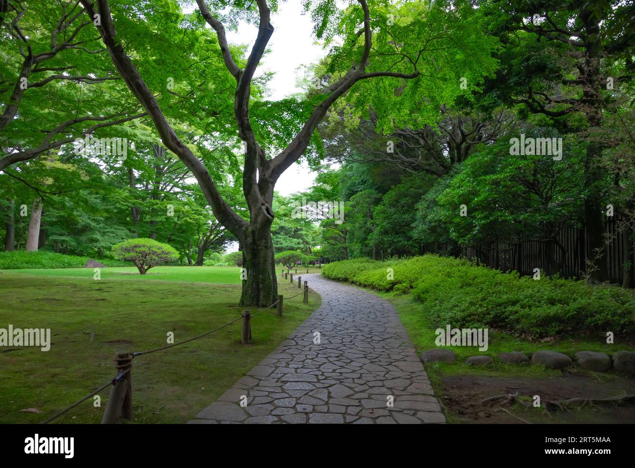 A Japanese garden at the public green park wide shot Stock Photo - Alamy