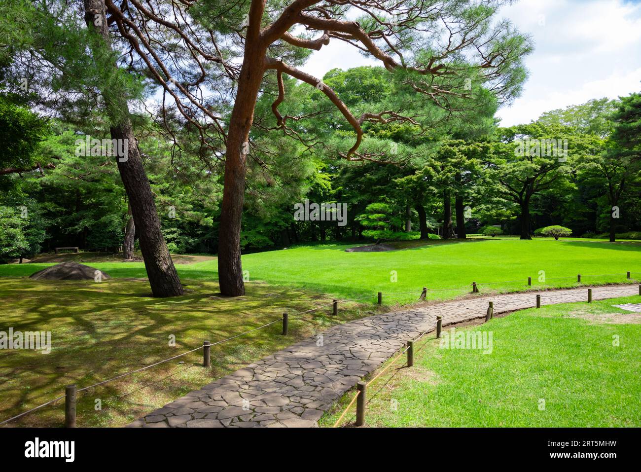 A Japanese garden at the public green park wide shot Stock Photo - Alamy