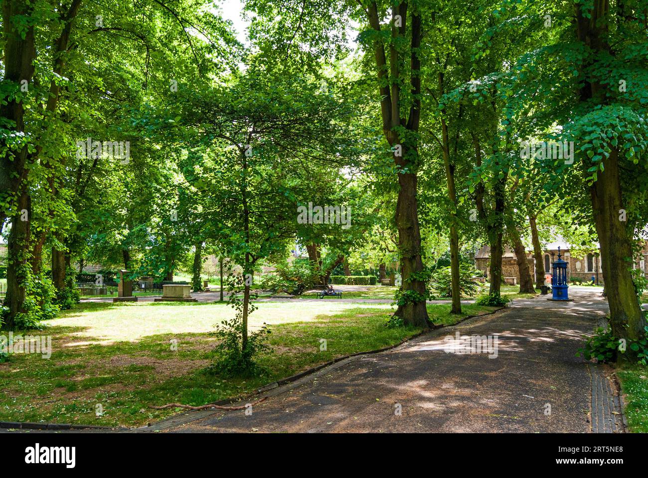 St Pancras Old Church Cemetery, nestled in the trees, London Borough of ...