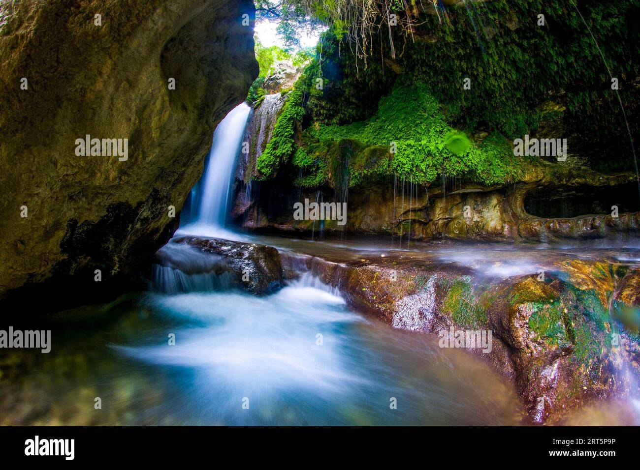Small green trees side waterfall hi-res stock photography and images ...