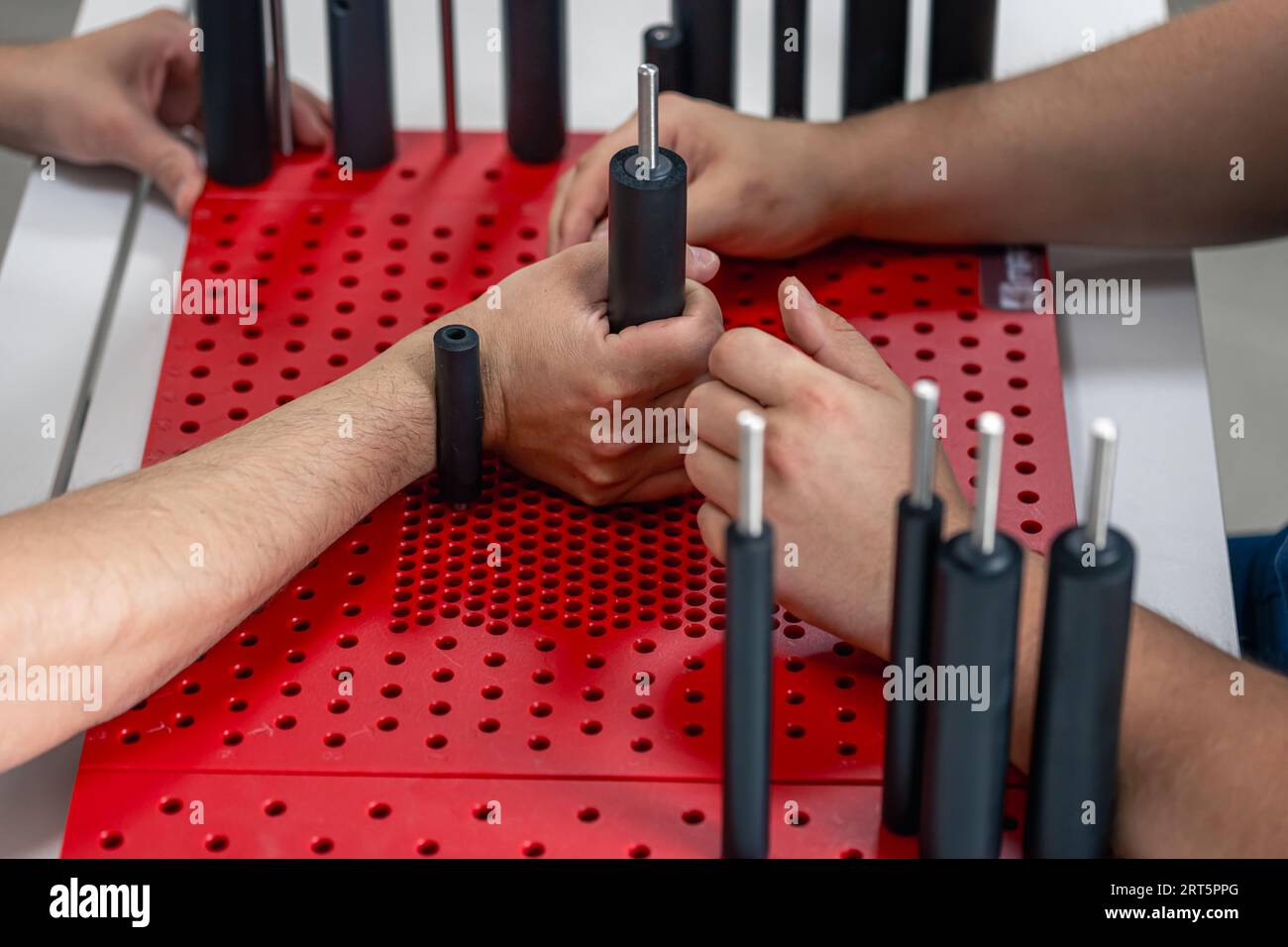 Development of movements of the radial wrist joint on a functional ...