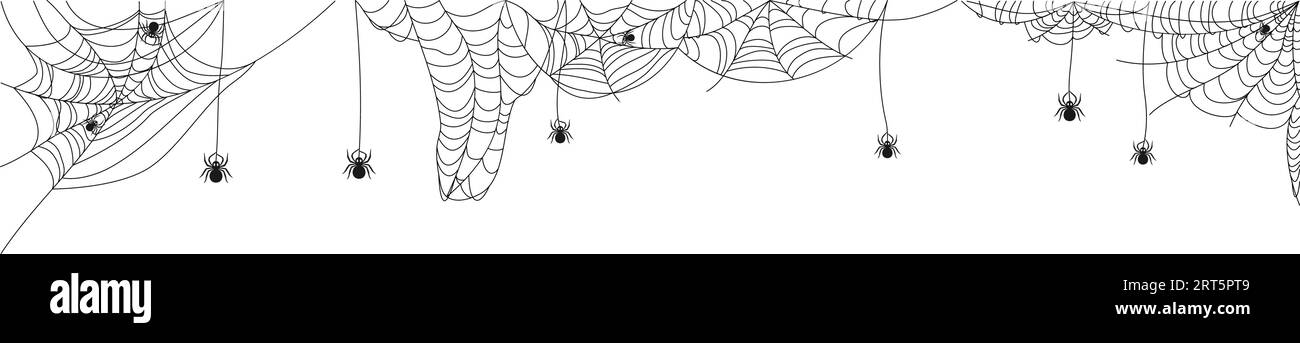 Halloween border with spiderweb and spiders. Abstract texture of insect ...