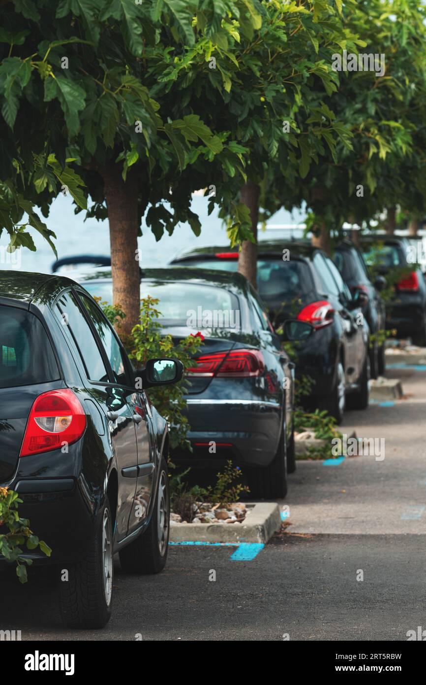 Parked cars on parking lot with trees, selective focus Stock Photo - Alamy