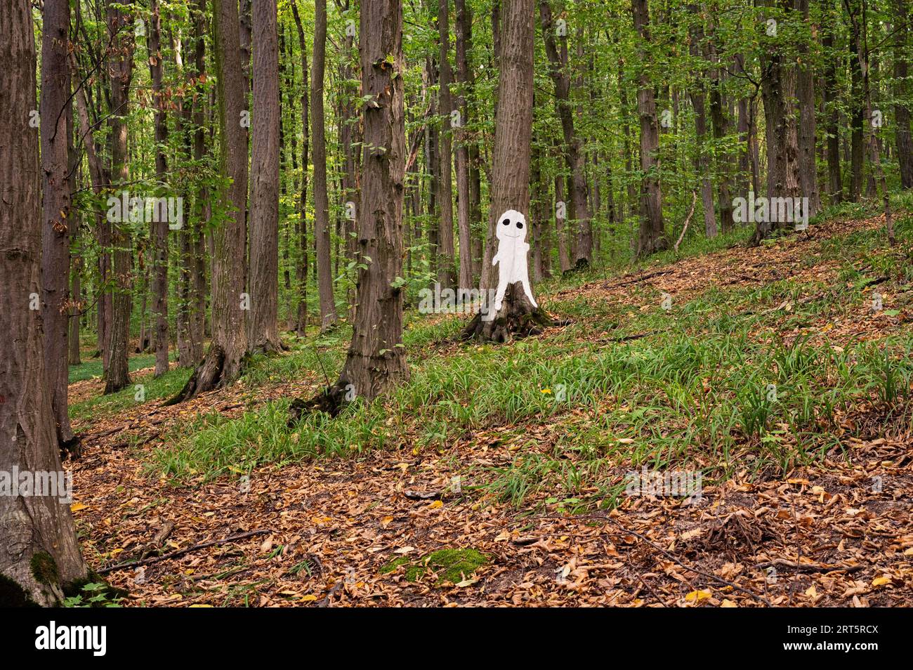 Halloween silhuette, ghost or alien pictured on tree in forest. Scenic ...