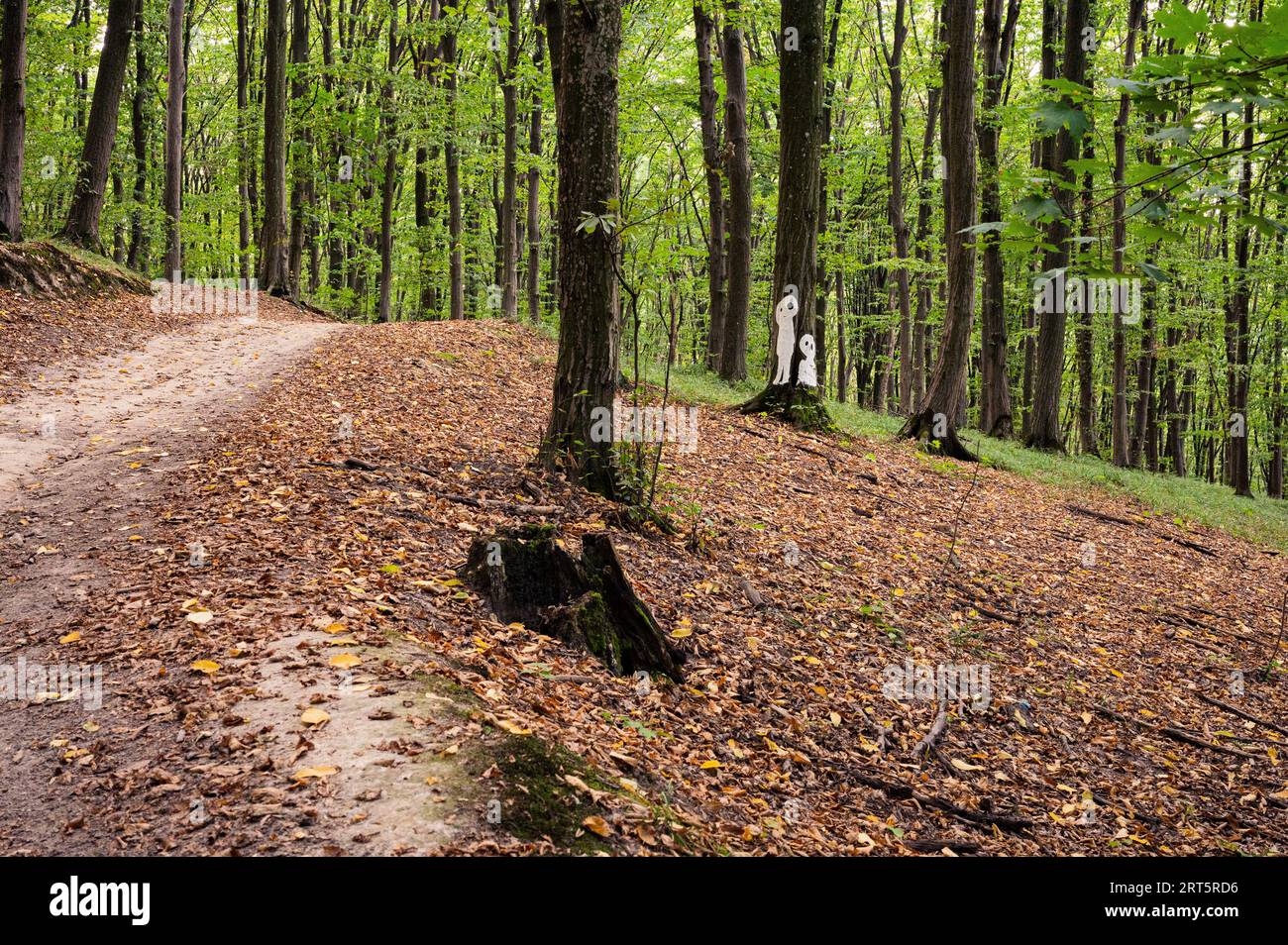 Halloween silhuette of pair, ghosts or aliens pictured on tree in ...