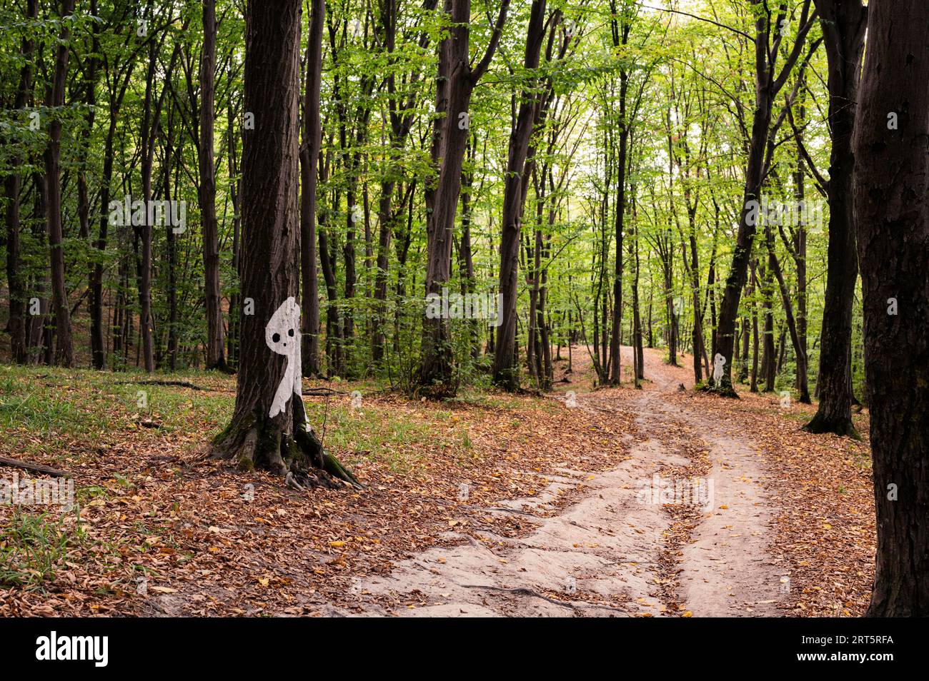 Halloween silhuette of man, ghost or alien pictured on tree in forest ...