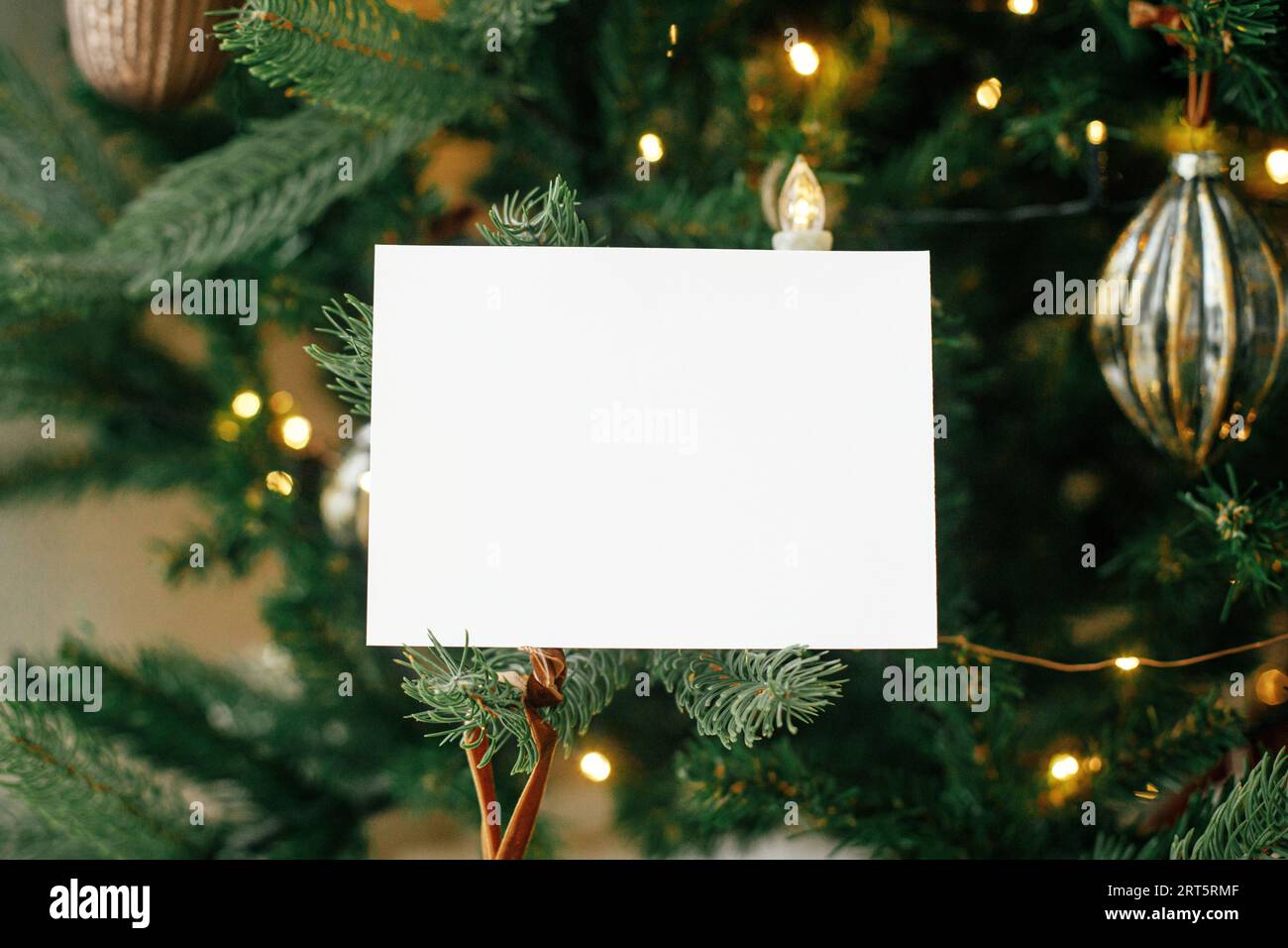 Tem letter hi-res stock photography and images - Alamy