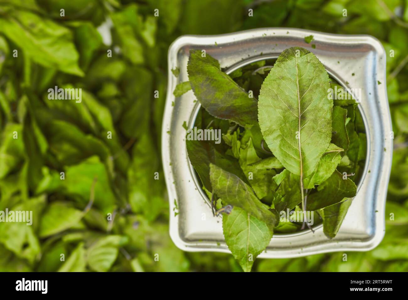 Tea leaves packing hi-res stock photography and images - Alamy
