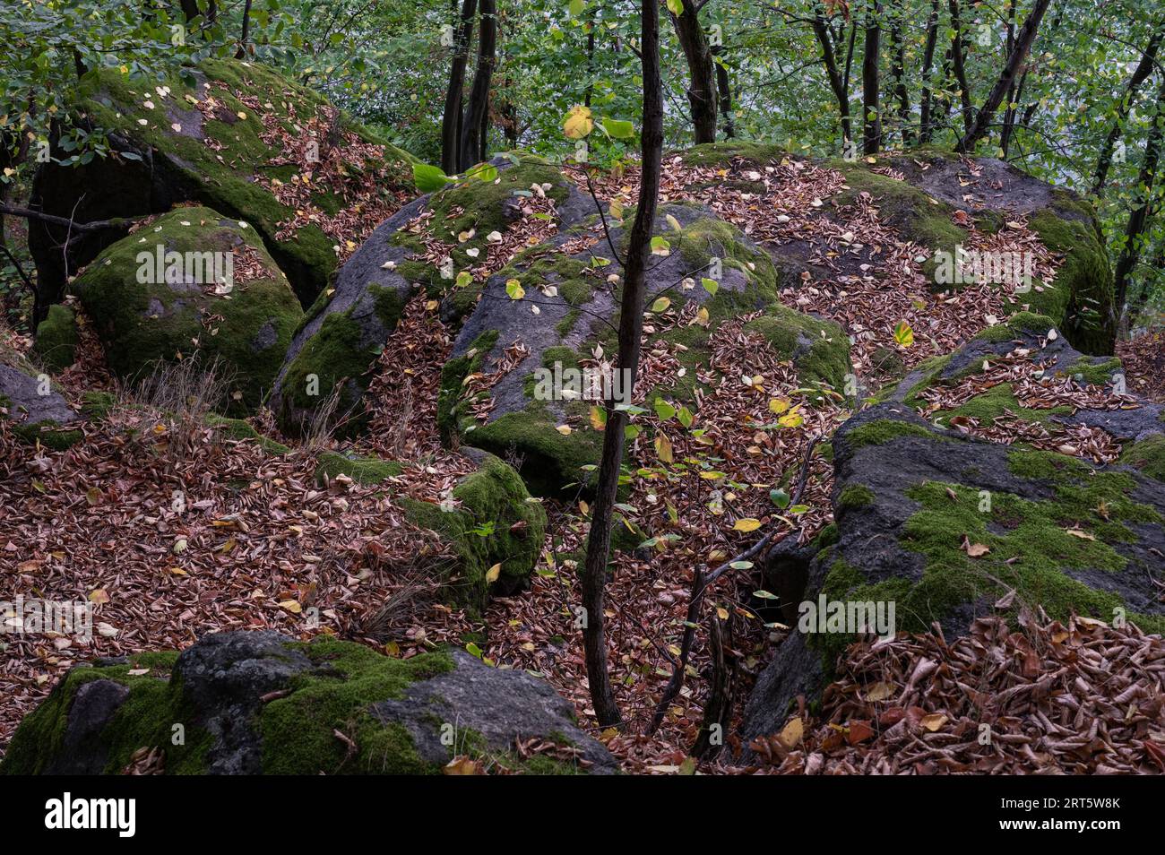Hight rocks hi-res stock photography and images - Alamy