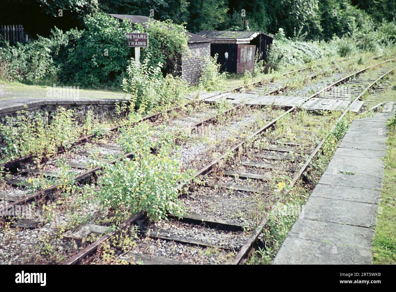 Closed disused railway station and overgrown rail tracks, Symonds Yat ...