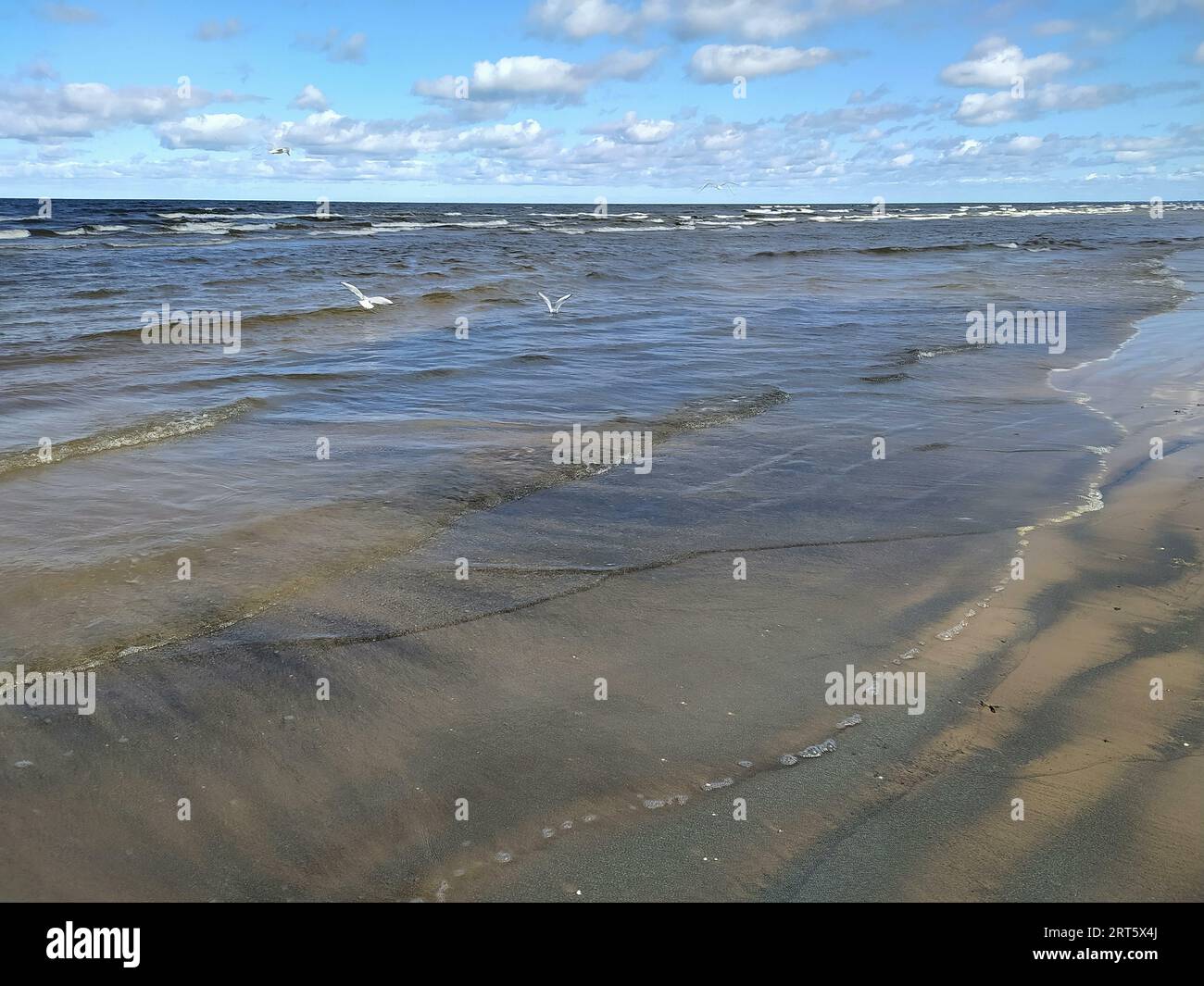 Riga seaside in the Latvian resort town of Jurmala, the shore of the ...