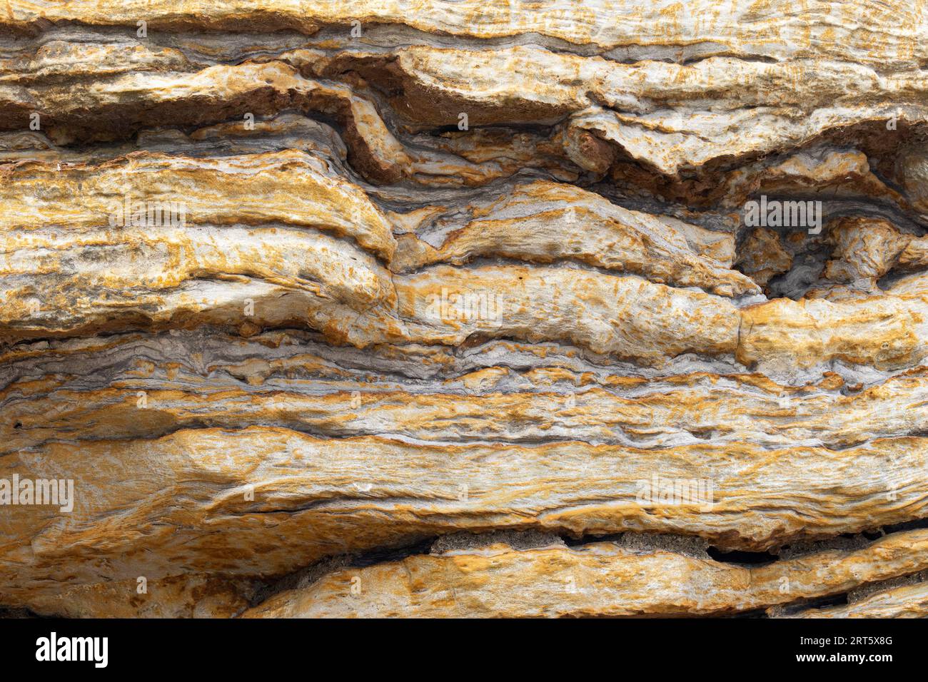 The Dinosaur Coast in North Yorkshire is from the Jurassic era. Rocks ...