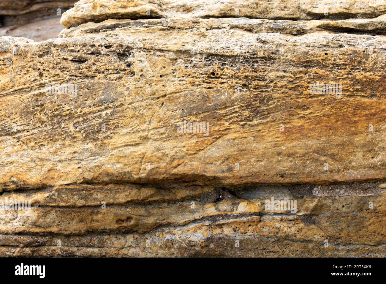The Dinosaur Coast in North Yorkshire is from the Jurassic era. Rocks ...