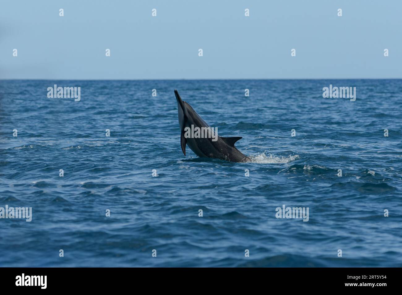 Indian maritime hi-res stock photography and images - Alamy