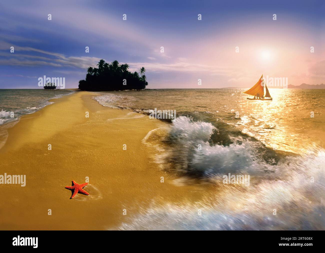 Starfish at the beach - Palawan Archipelago, Philippines Stock Photo ...