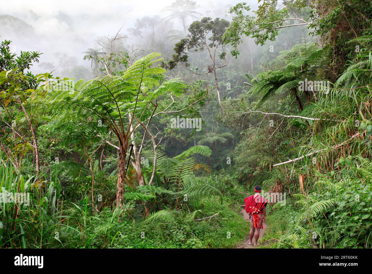 Ifugao tribesmen in a tropical rainforest Stock Photo - Alamy