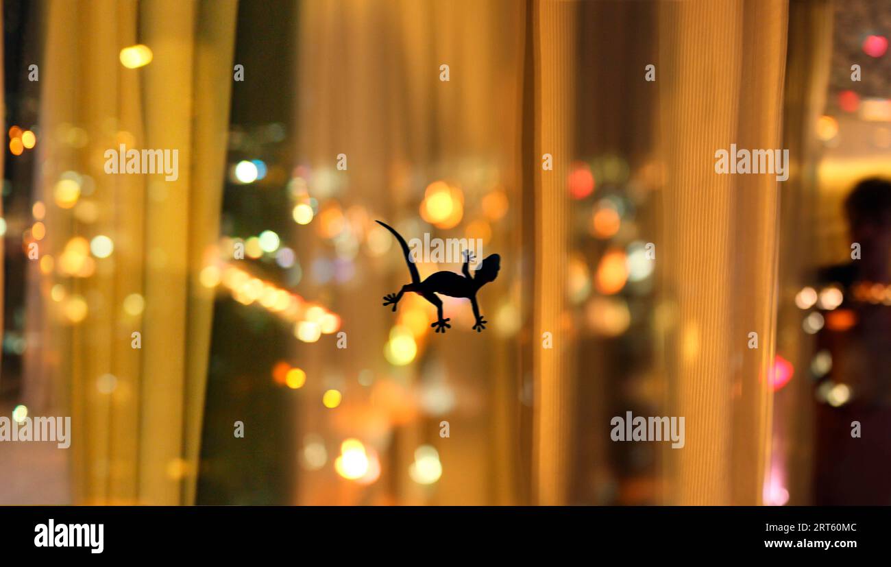 Lizard on window in hotel room, Hong Kong, China Stock Photo - Alamy