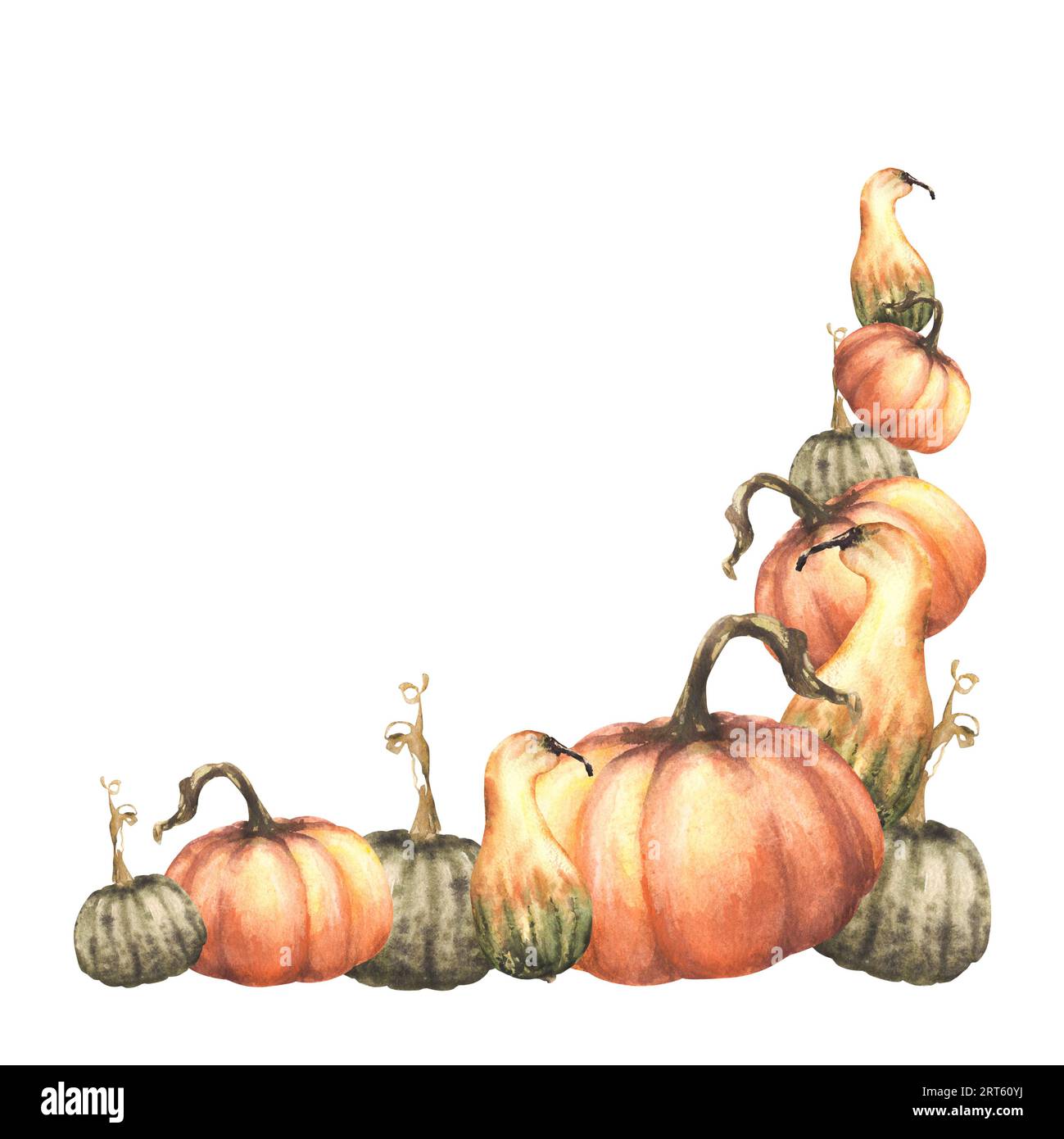 Fall pumpkins corner frame Autumn vegetables harvest. Isolated ...