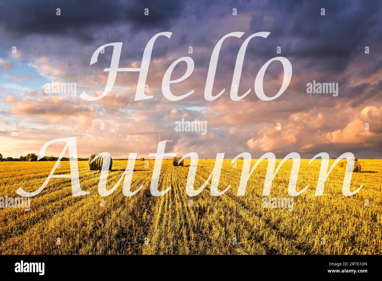 The words Hello Autumn on the background of field with golden haystacks ...