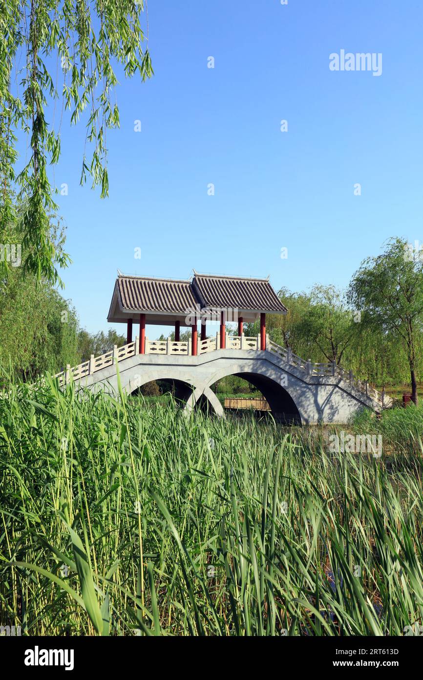 Twin rivers park hi-res stock photography and images - Alamy