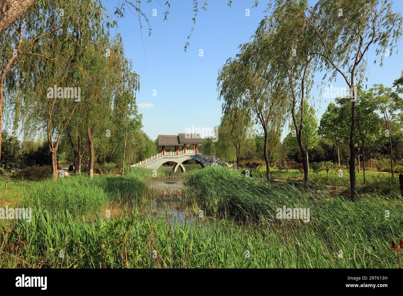 Twin rivers park hi-res stock photography and images - Alamy