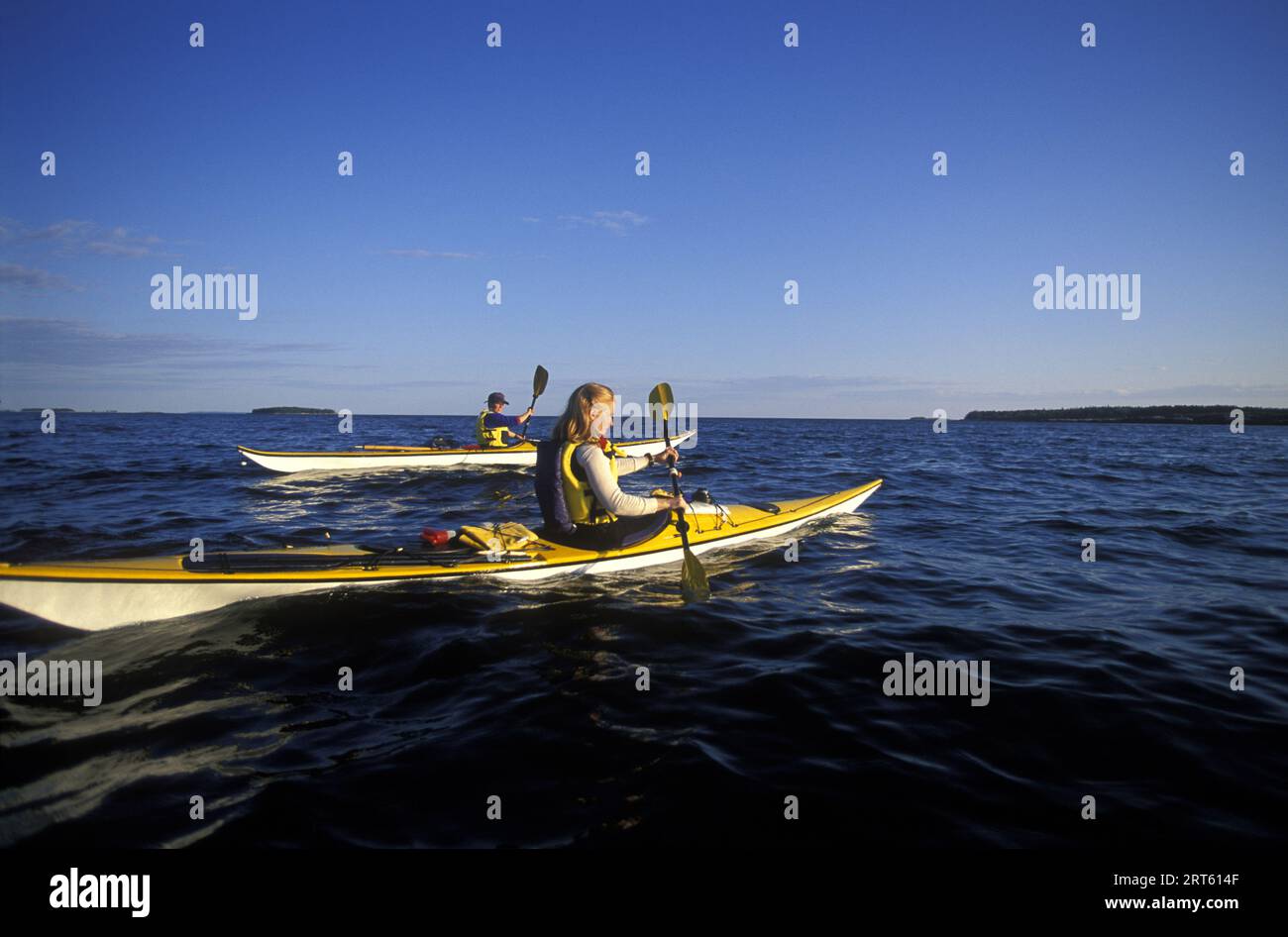 Bay companion hi-res stock photography and images - Alamy