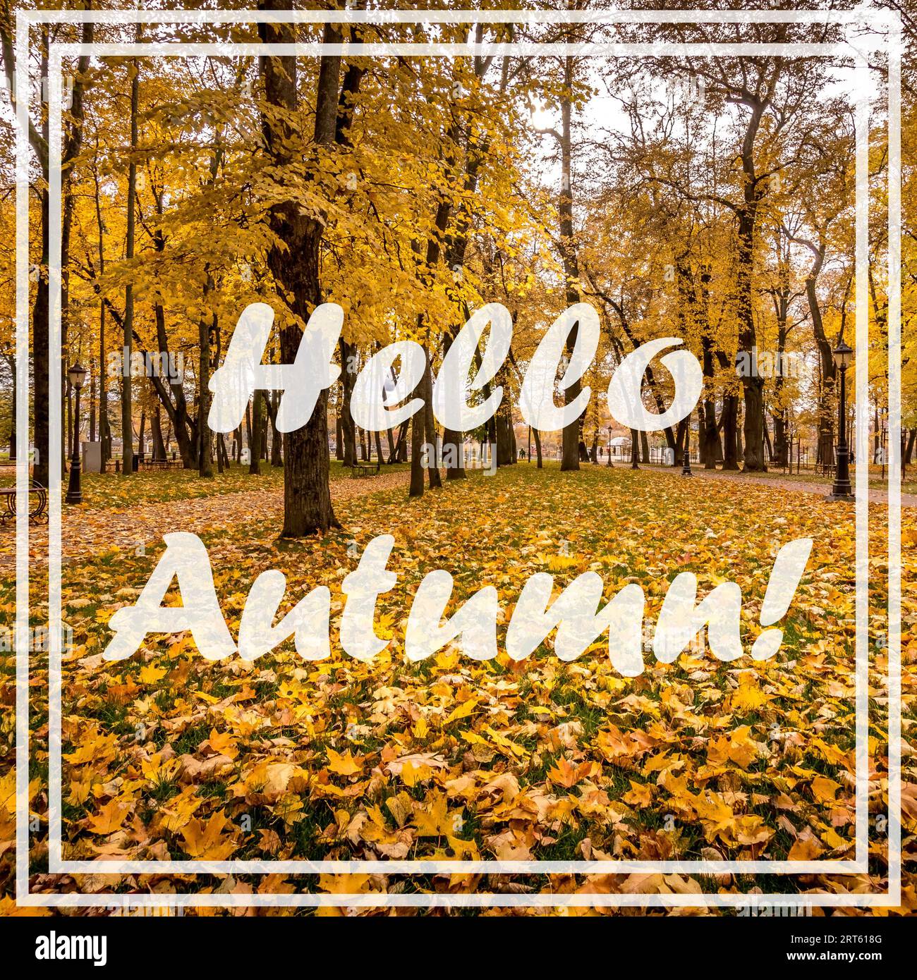 The words Hello Autumn on the background of autumnal city park with ...