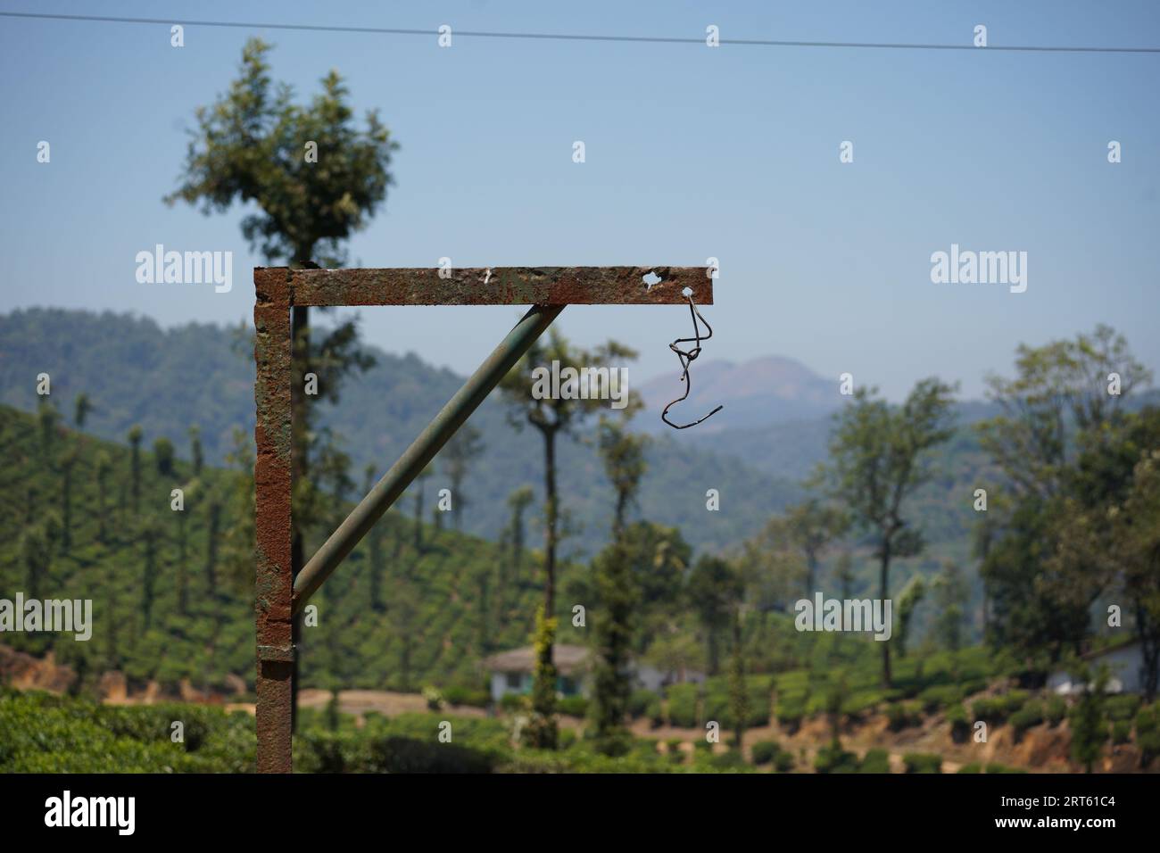 Introducing our exquisite iron stand, designed to complement the ...