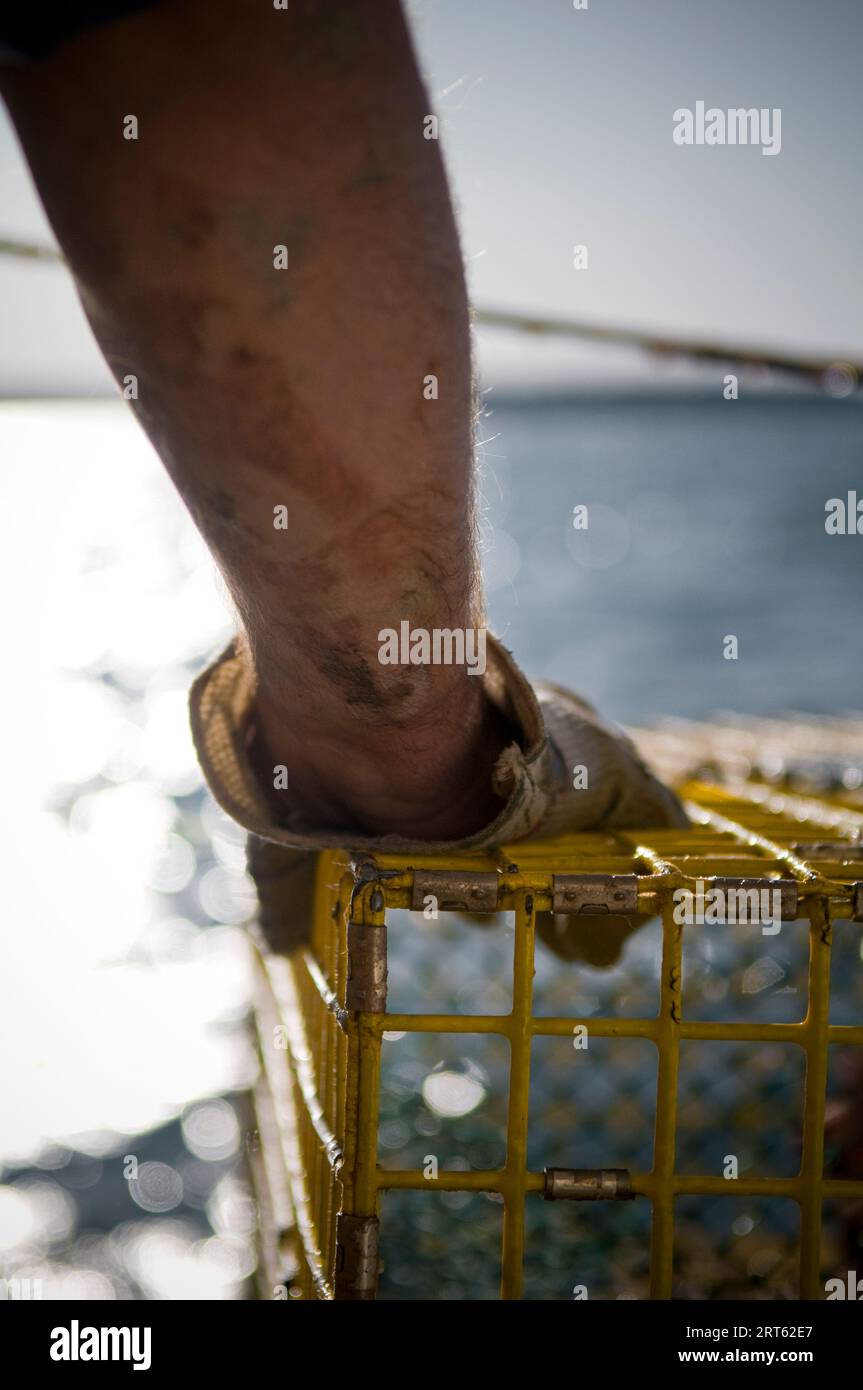 Human trap hi-res stock photography and images - Alamy