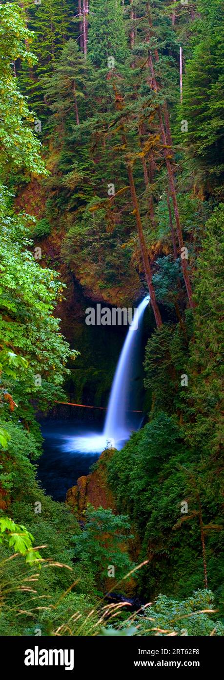Metlako Falls waterfall in the Columbia River Gorge National Scenic ...