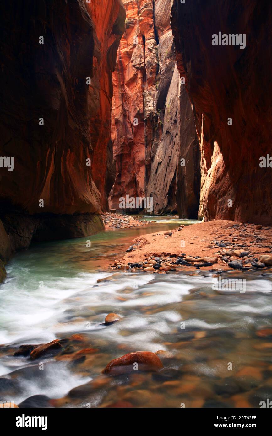 Zion Narrows in Zion National Park is one of the parks most diverse ...
