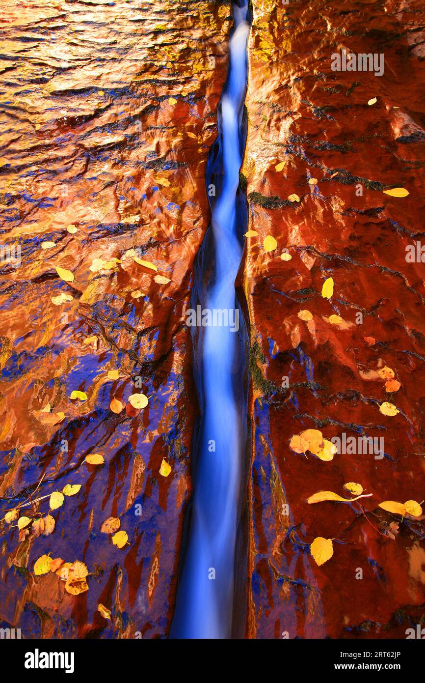 The Crack, also known as the Chute just below the famous Subway in Zion ...