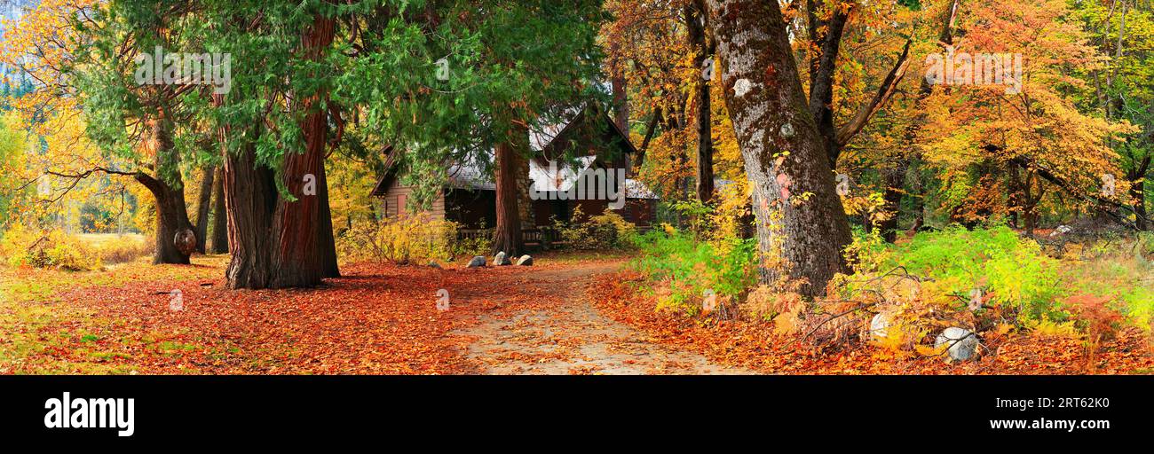Historic, empty cabin hidden in the fall trees in Yosemite National ...