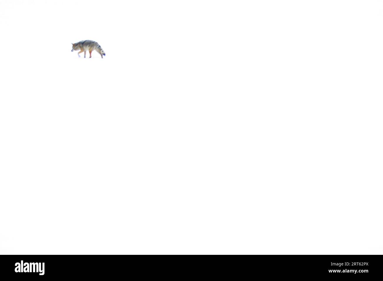 National park usa california Cut Out Stock Images & Pictures - Alamy