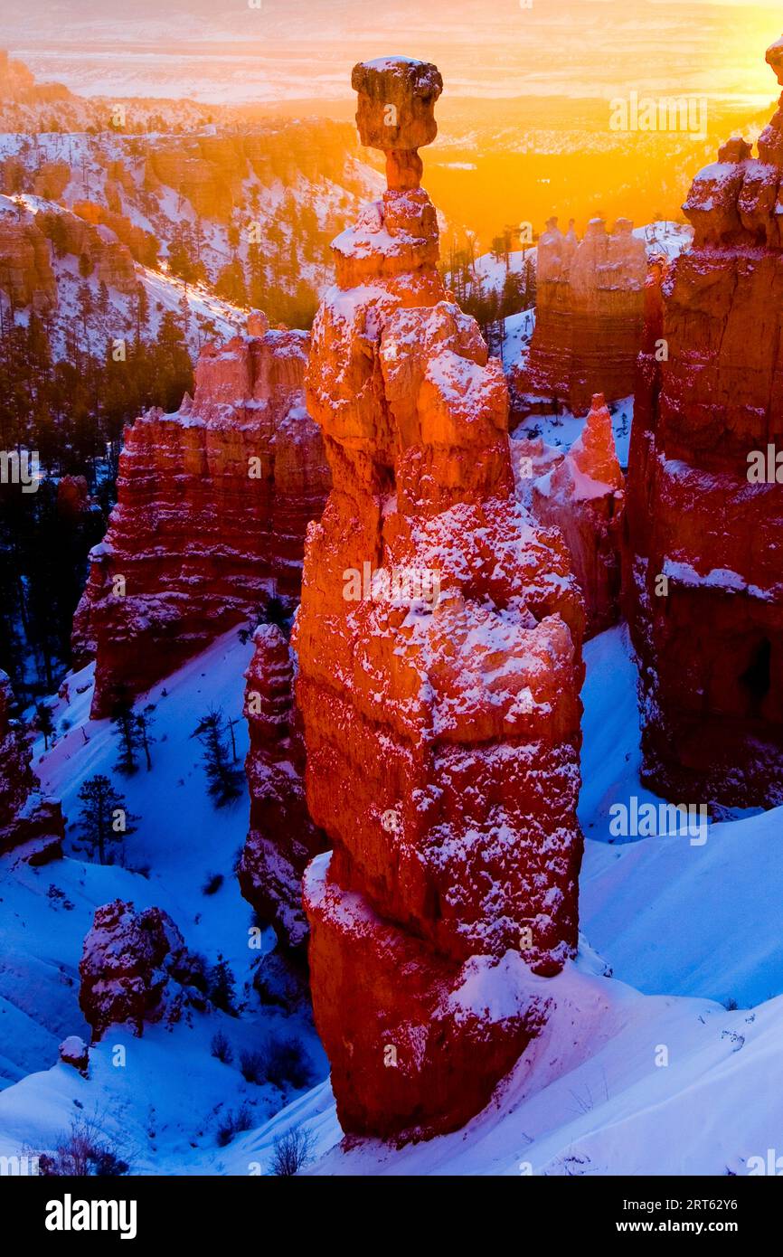 Winter sunrise in Bryce Canyon National Park, Utah over the park's ...