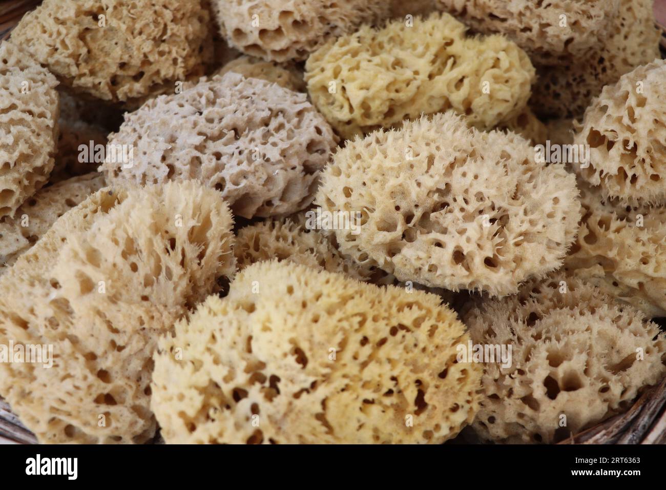 Sea sponge on display in street shop on Symi island ,Rhodes, Greece ...