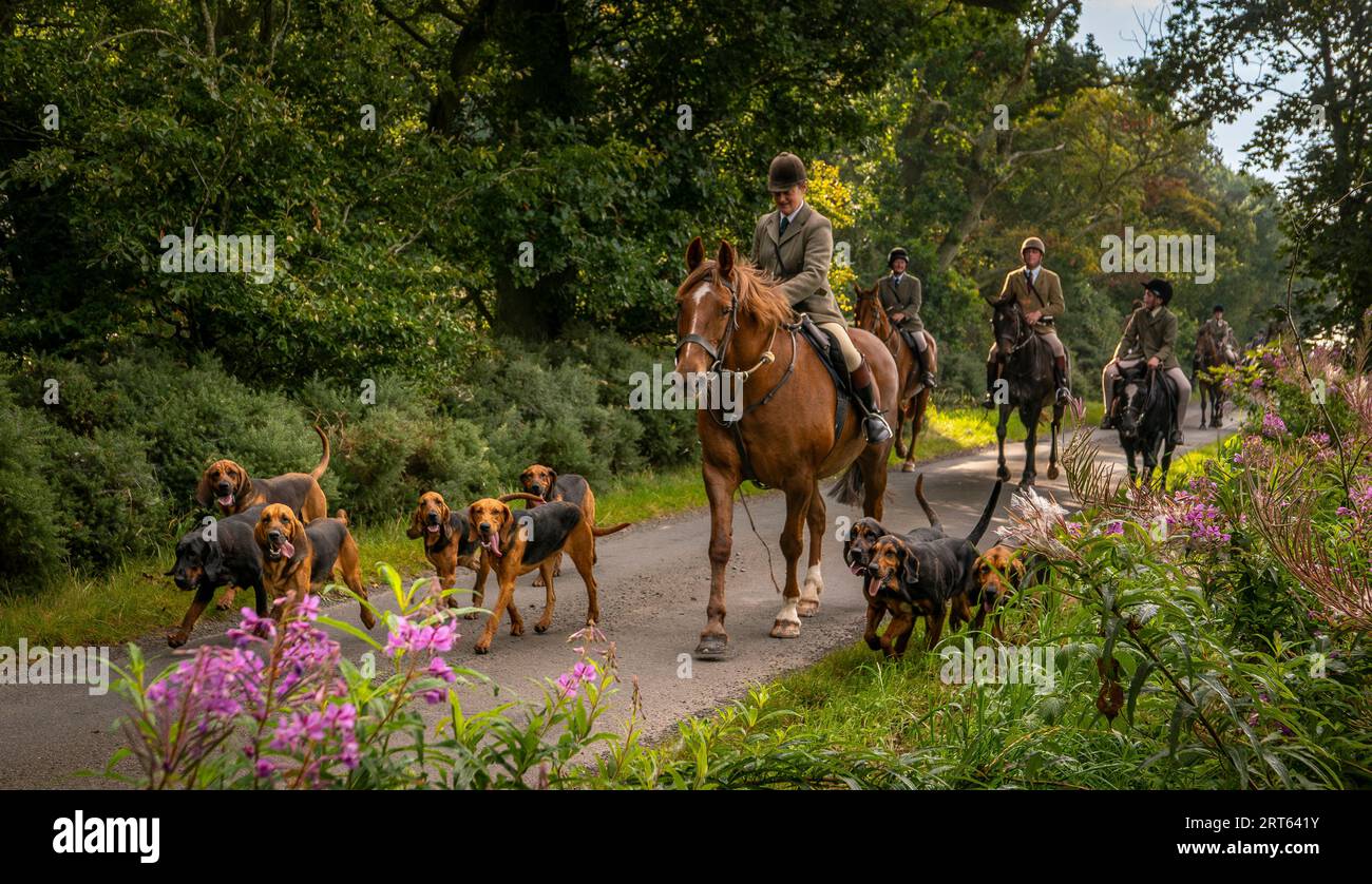 Boon, Scottish Borders, UK. 9th September 2023 Boon, Scottish Borders ...