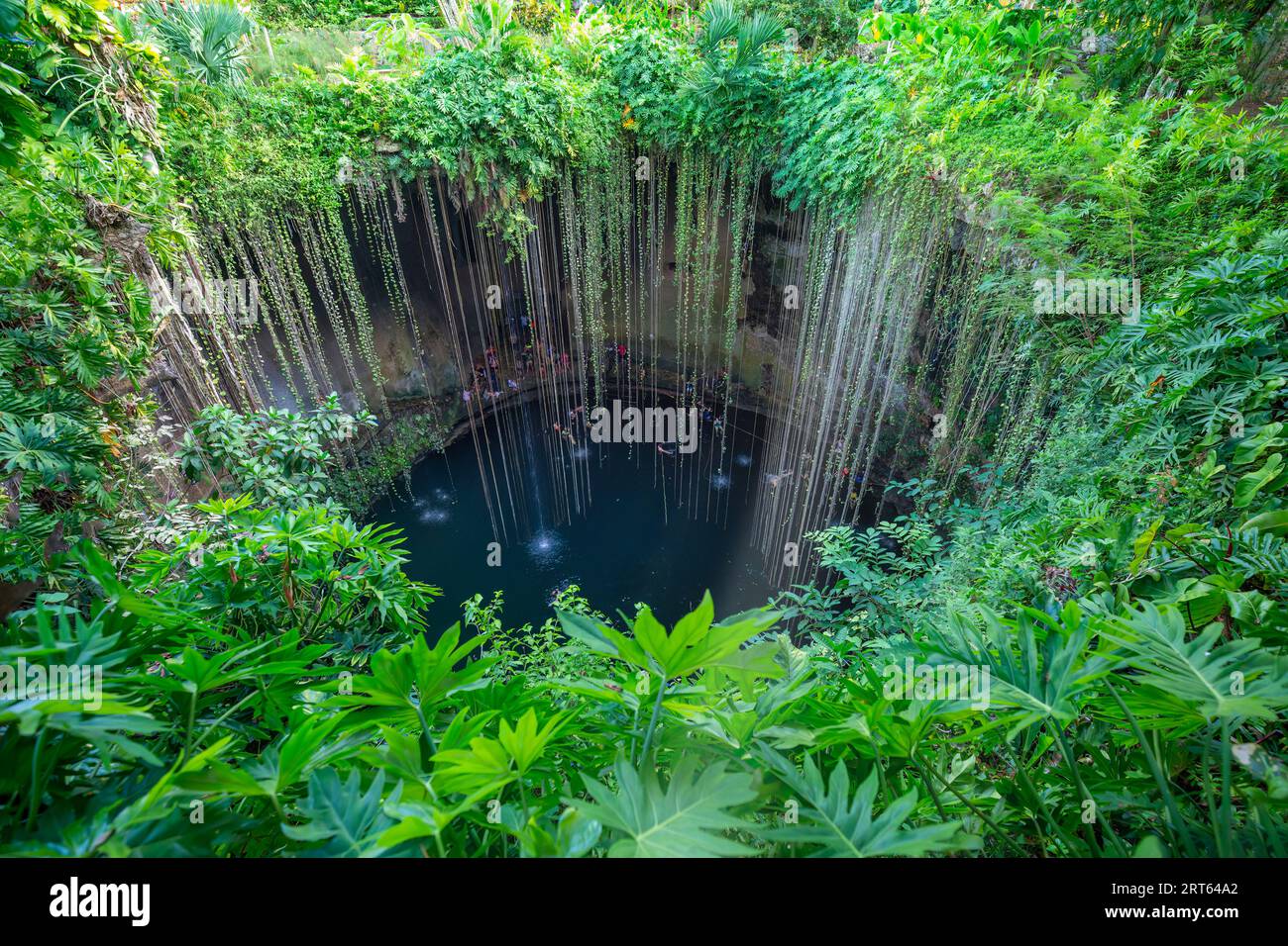 Mexico, Ik Kil Cenote near Merida Yucatan Peninsula in Archeological ...