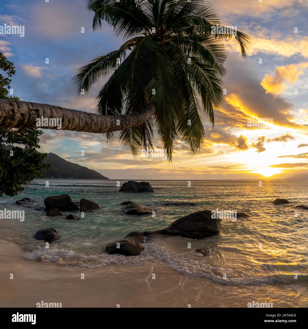 Perfect sunset landscape on a scenic tropical sand beach with palm ...