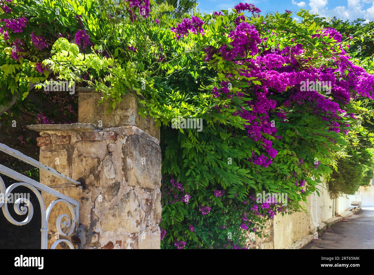 Greece, historic neighborhood of Plaka and Anafiotika in Athens with ...