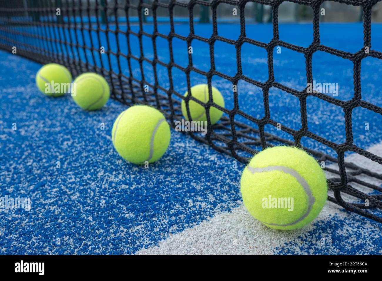 Four yellow balls on floor in front and one behind of paddle net in ...