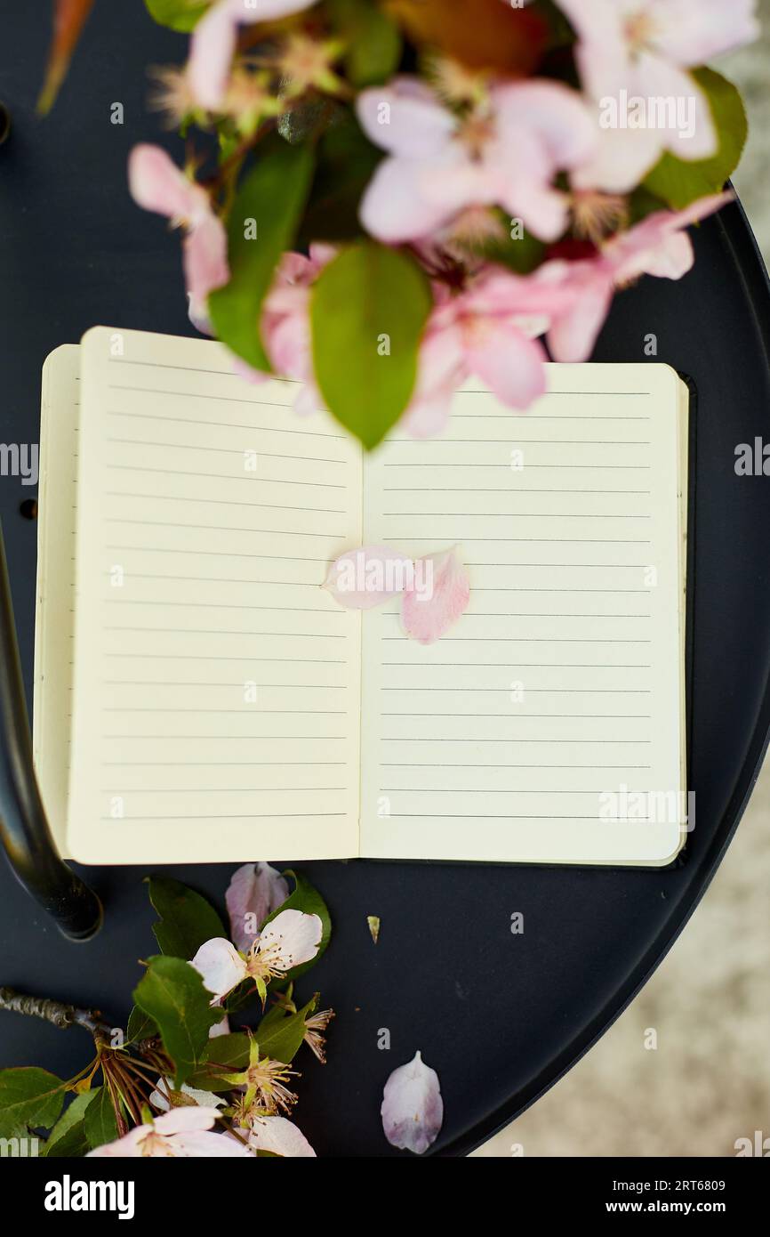 Journaling in nature hi-res stock photography and images - Alamy