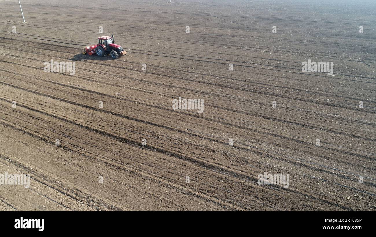 Rotary tiller planters grow peas on farms, Luannan County, Hebei ...