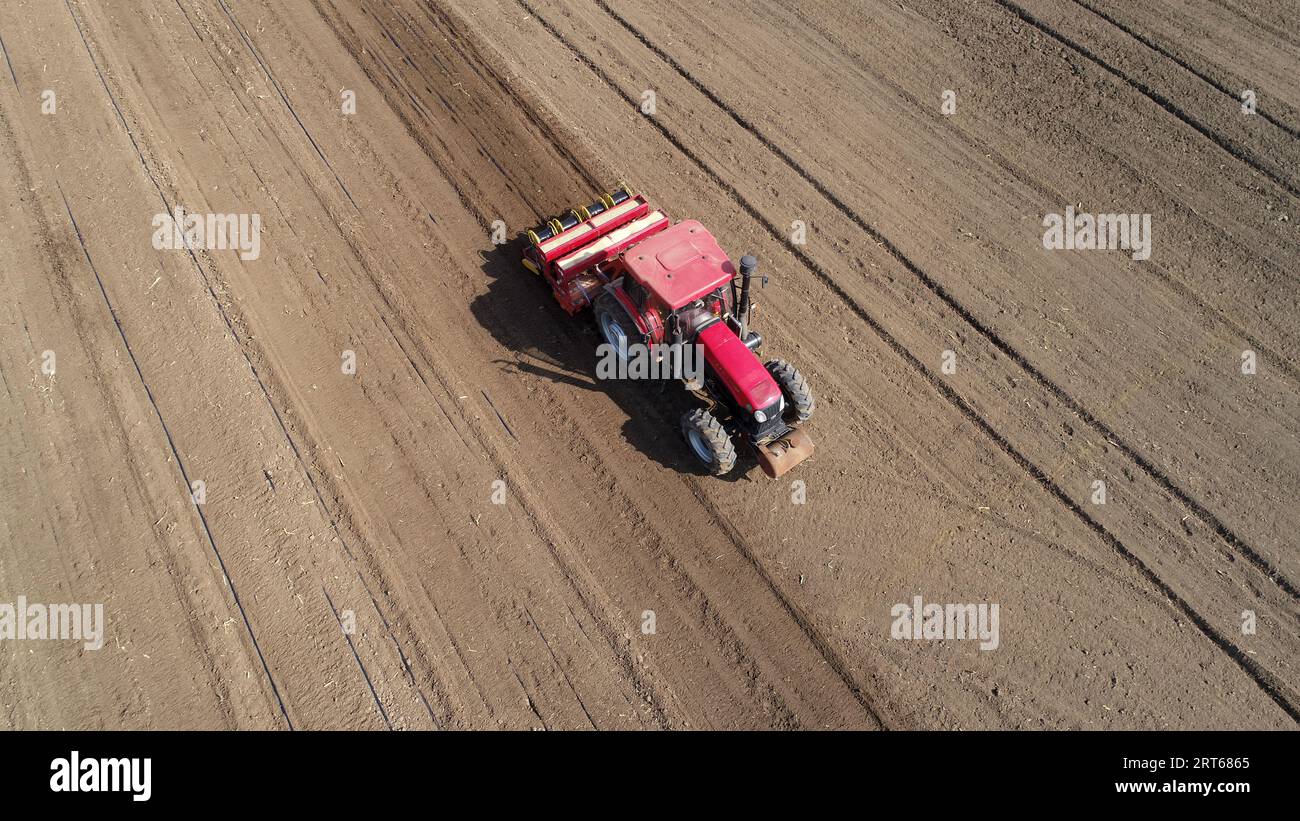 Rotary tiller planters grow peas on farms, Luannan County, Hebei ...