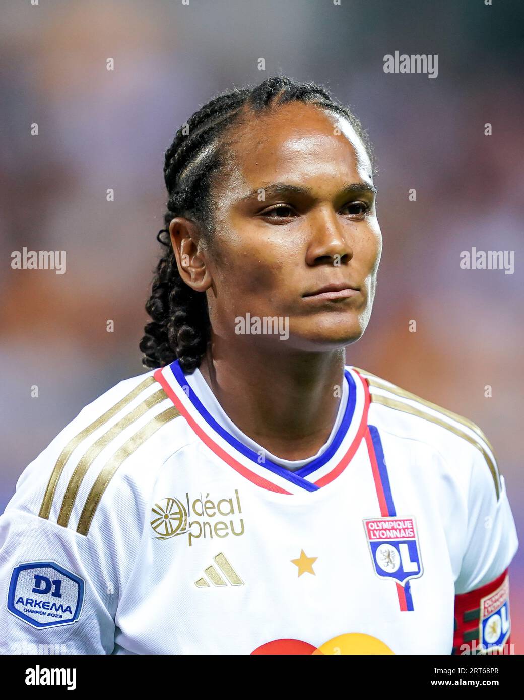 Portrait de renard hi-res stock photography and images - Alamy