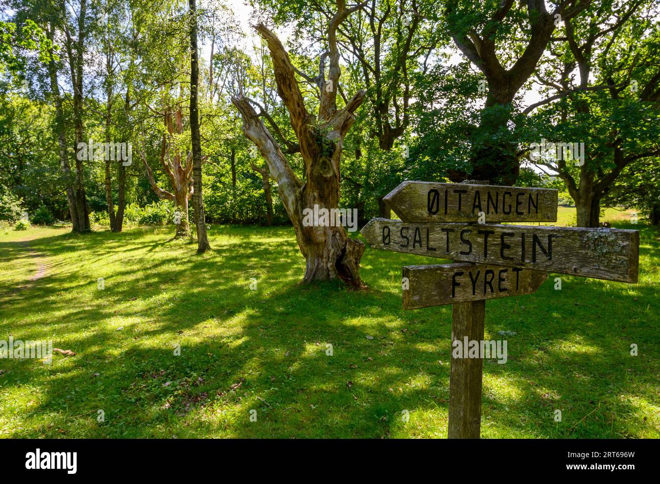 Wooden signs hi-res stock photography and images - Alamy